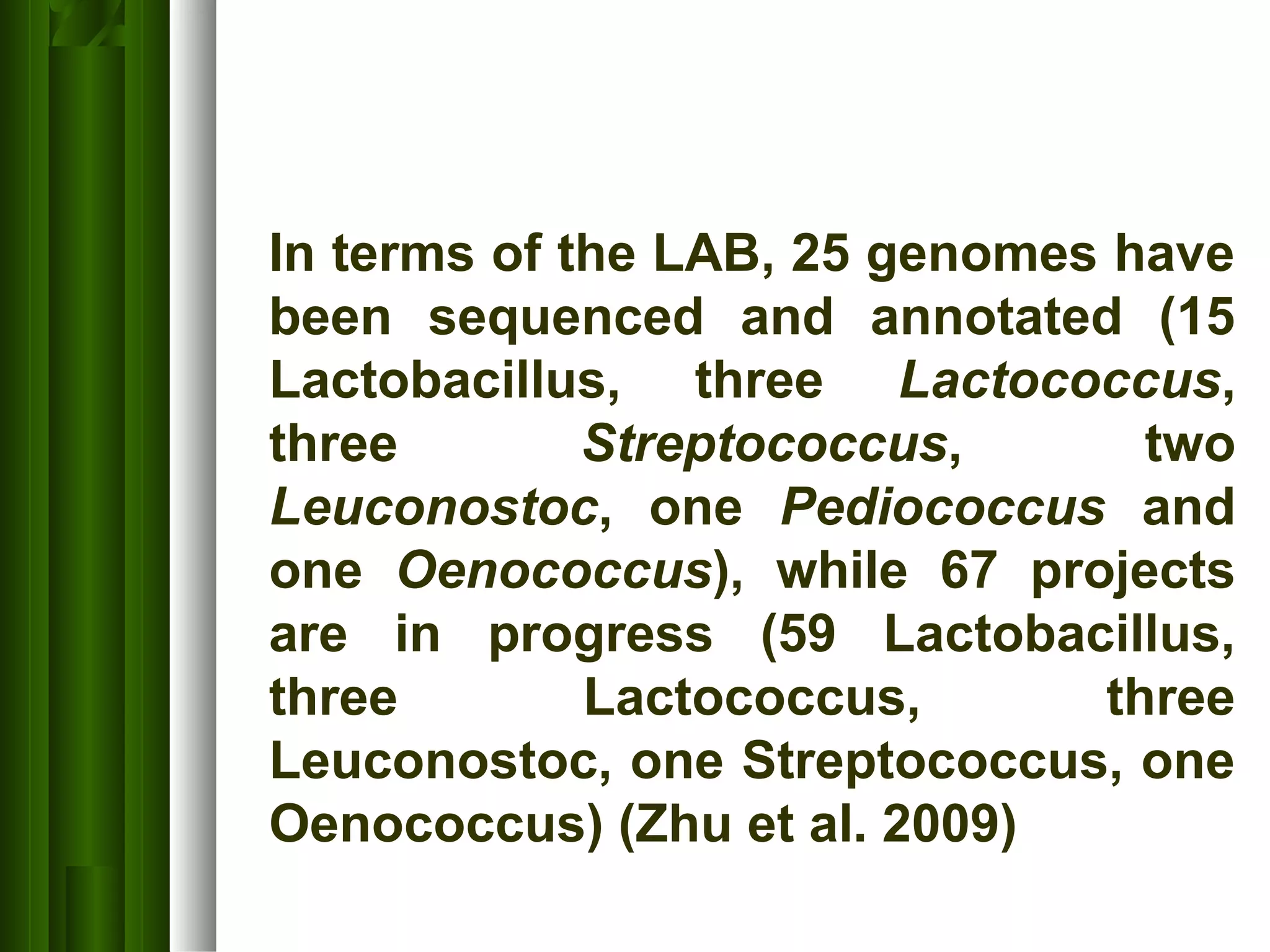 Classification Of Lactic Acid Bacteria Ppt