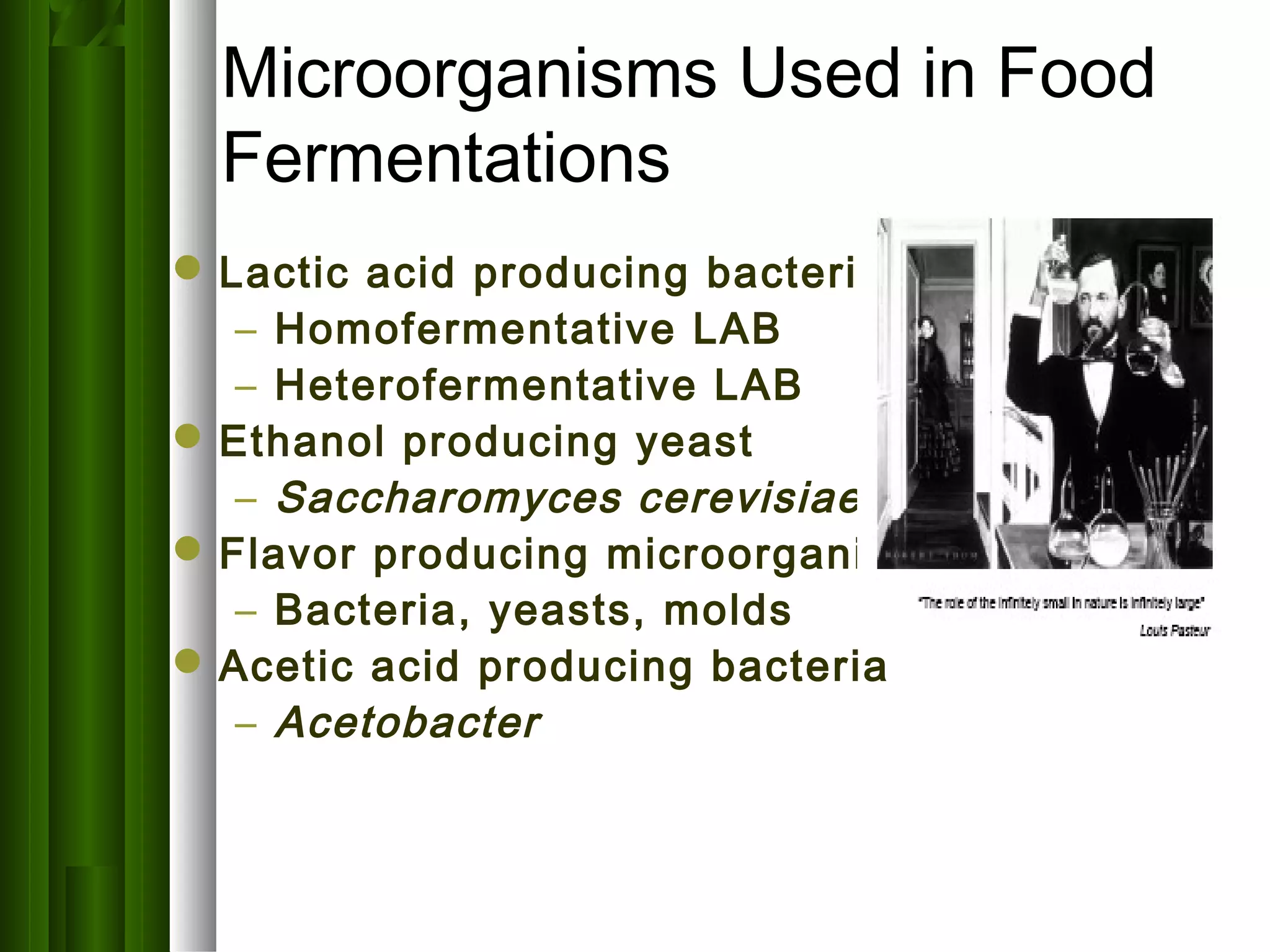 Classification of Lactic acid bacteria | PPT