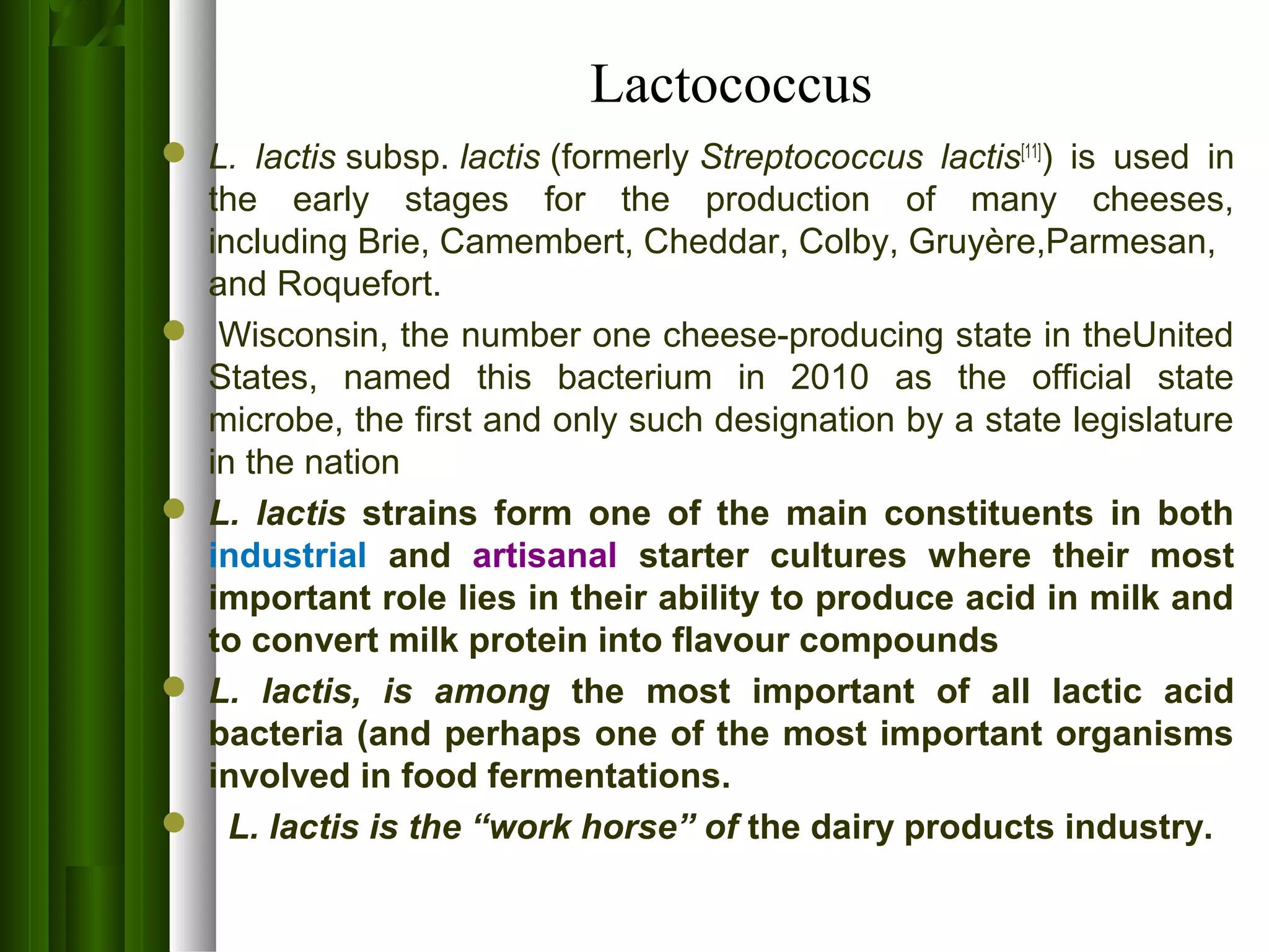 Classification of Lactic acid bacteria | PPT