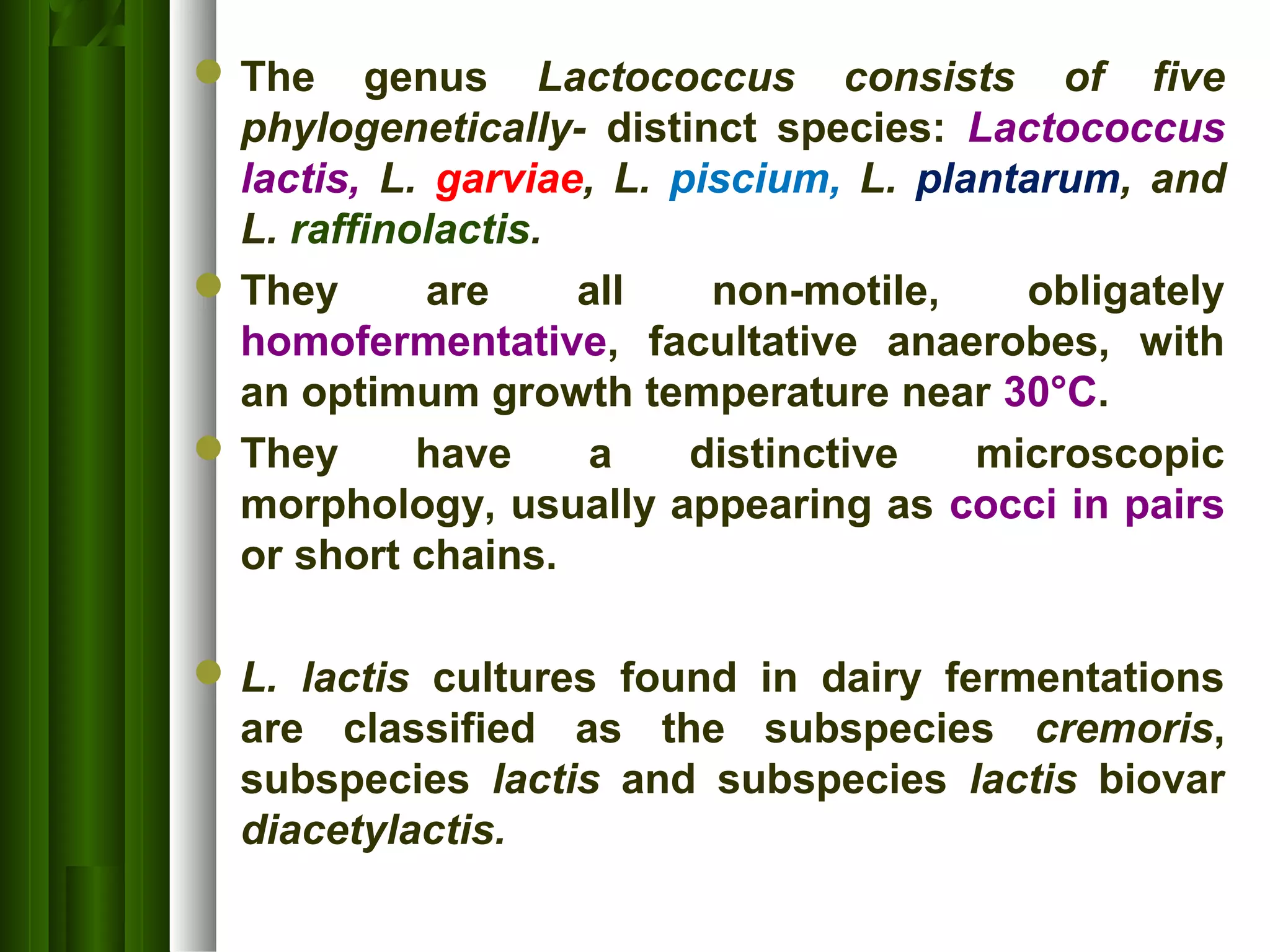 Classification of Lactic acid bacteria | PPT