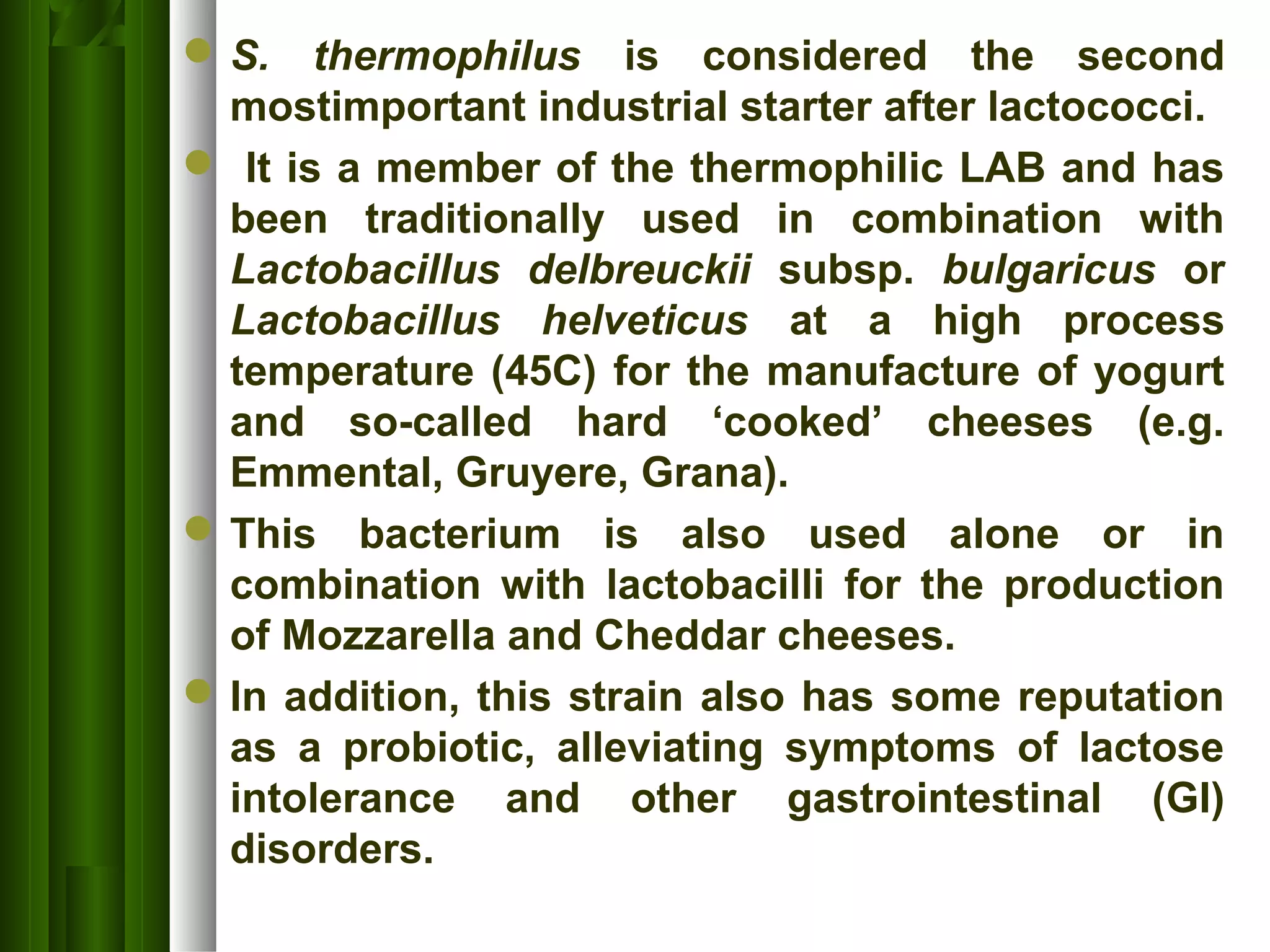 Classification of Lactic acid bacteria | PPT