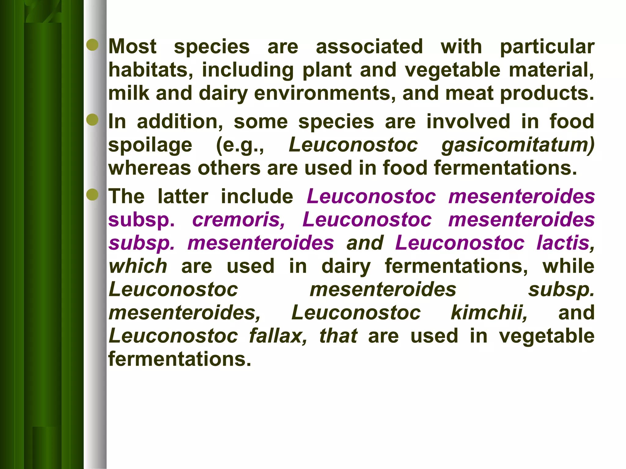 Classification of Lactic acid bacteria | PPT