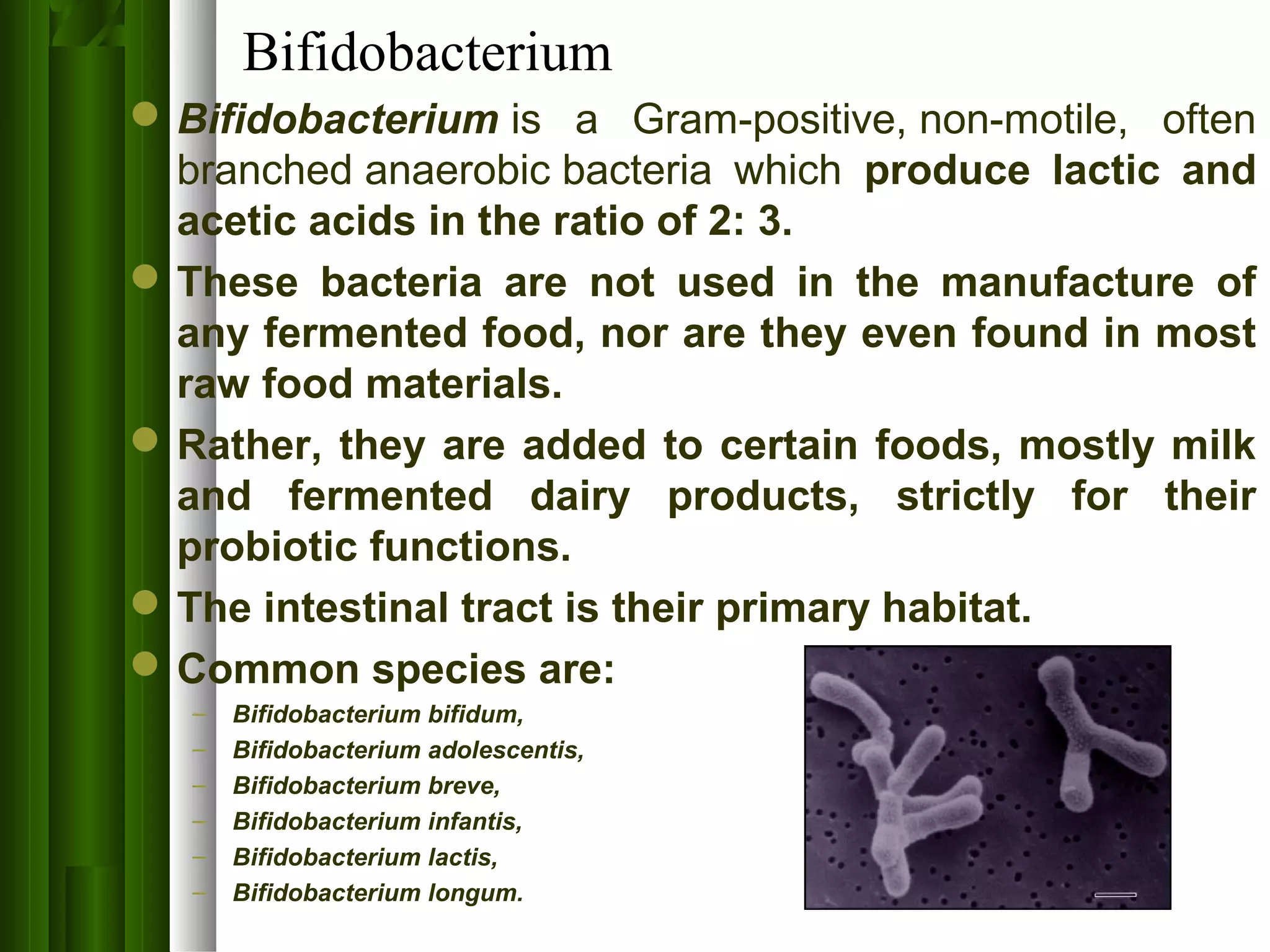 Classification of Lactic acid bacteria | PPT