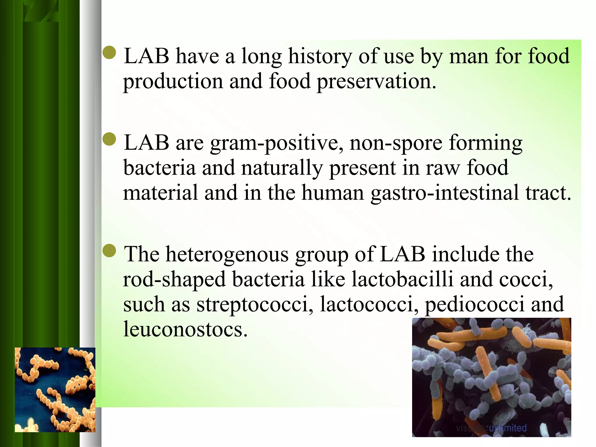 Classification of Lactic acid bacteria | PPT
