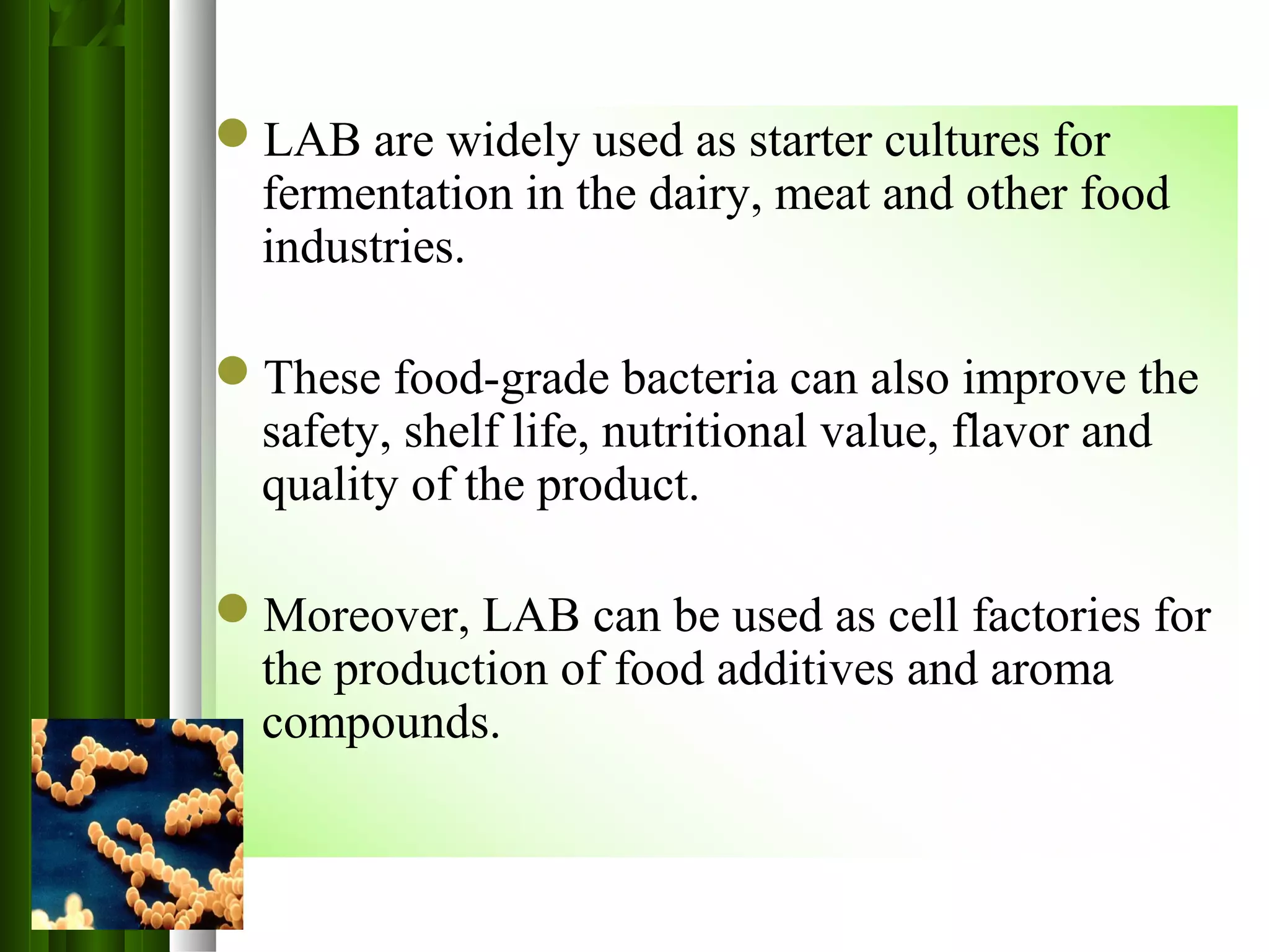 Classification Of Lactic Acid Bacteria Ppt