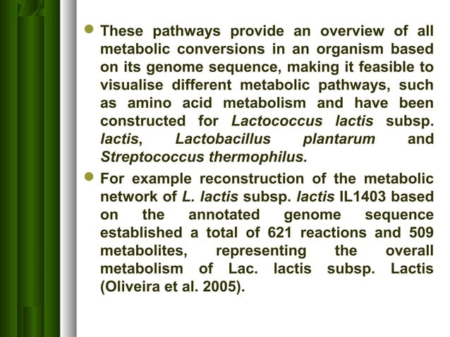 Classification Of Lactic Acid Bacteria Ppt