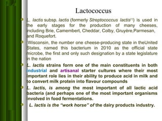 Classification of Lactic acid bacteria | PPT