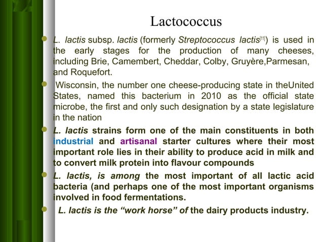 Classification Of Lactic Acid Bacteria Ppt