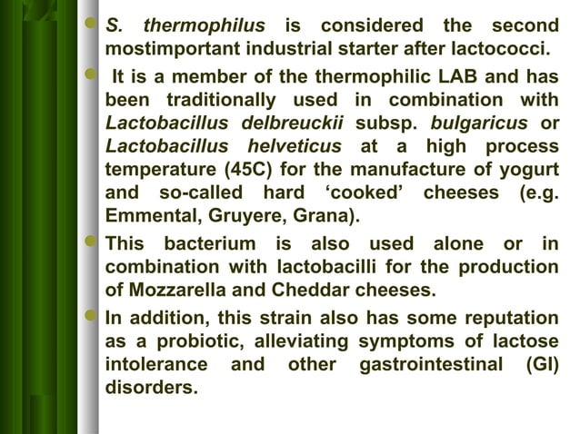 Classification of Lactic acid bacteria | PPT