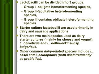 Classification of Lactic acid bacteria | PPT