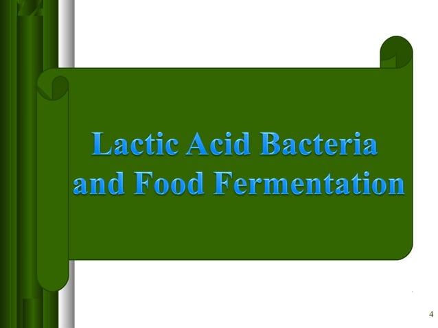 Classification of Lactic acid bacteria | PPT