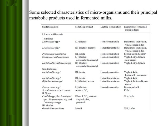 Classification Of Lactic Acid Bacteria Ppt
