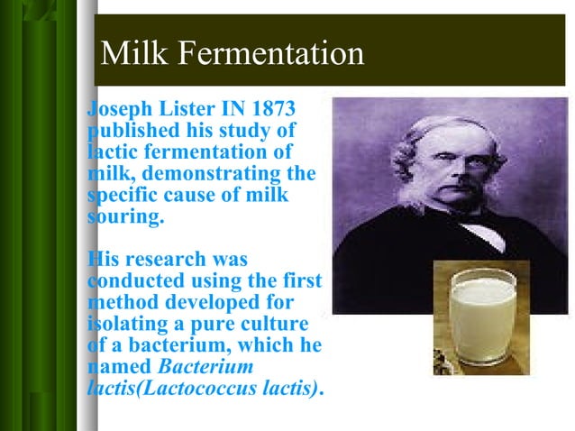 Classification of Lactic acid bacteria | PPT