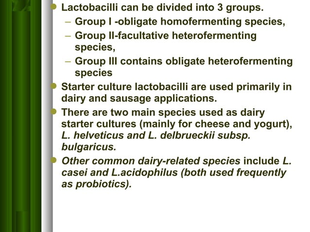 Classification Of Lactic Acid Bacteria