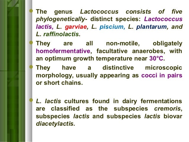 Classification Of Lactic Acid Bacteria