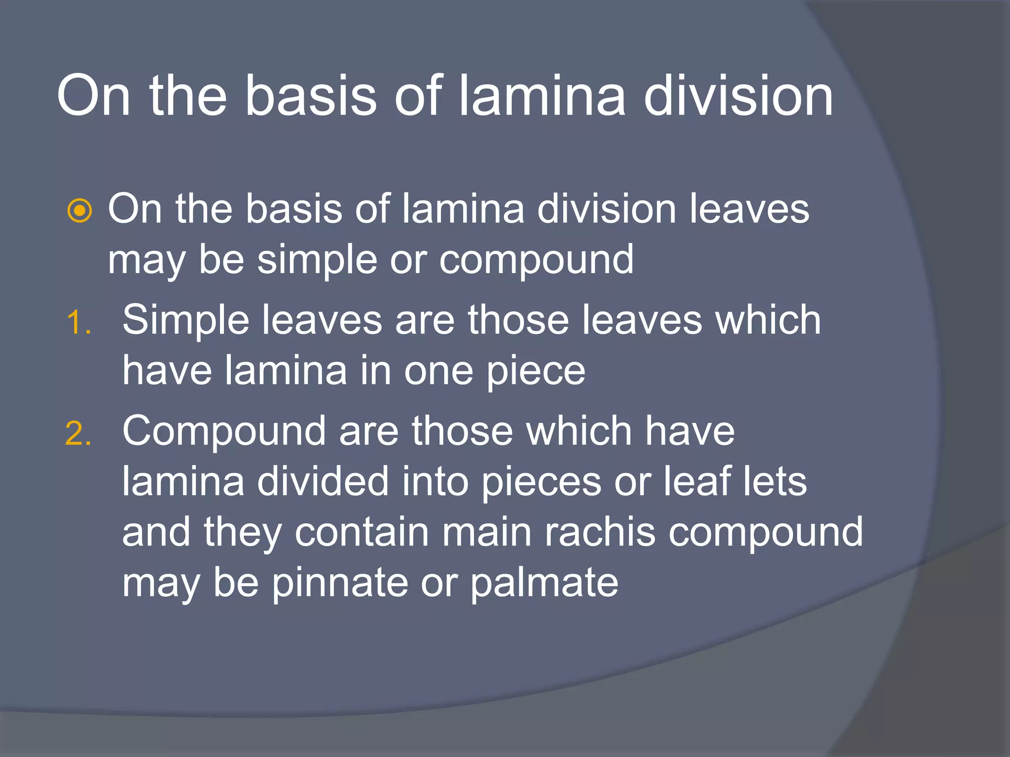 Classification of leaf on different basis | PPTX