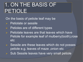 Classification of leaf on different basis | PPTX