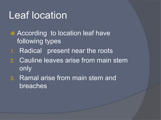 Classification of leaf on different basis | PPTX