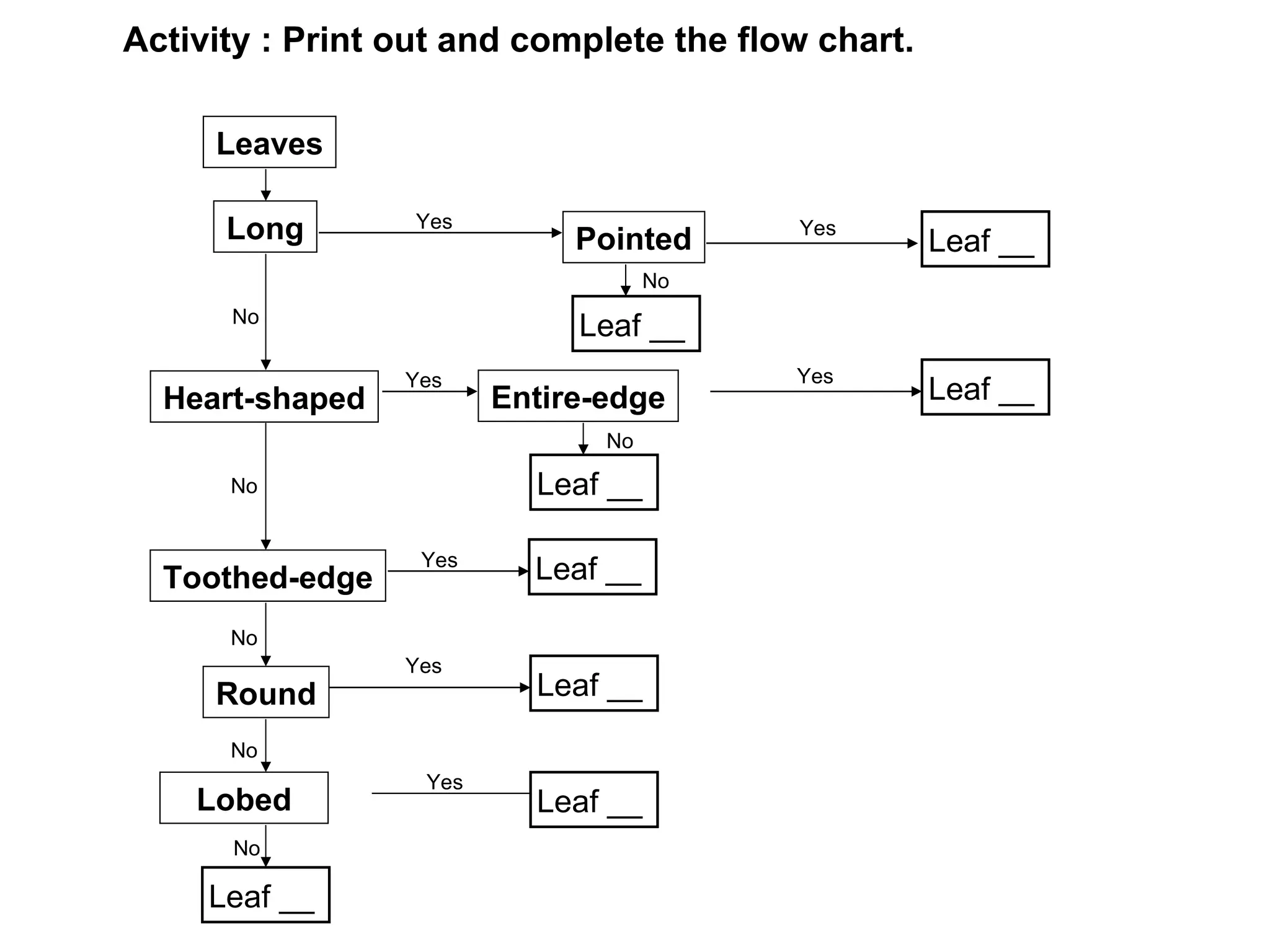 Classification Of Leaves | PPT