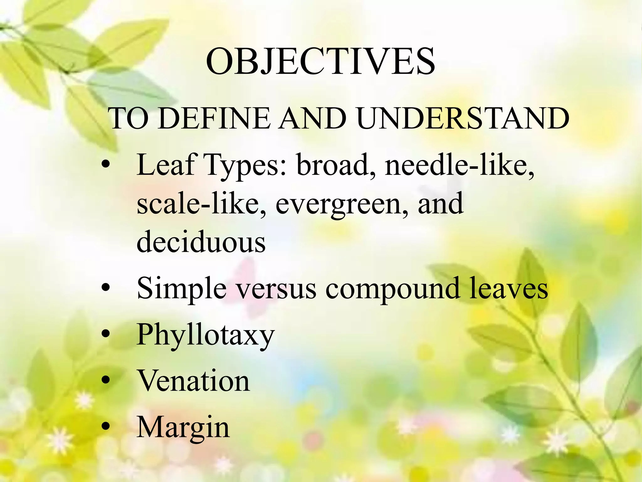 brief classification of leaves | PPTX