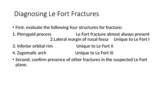 CLASSIFICATION OF LE FORT FRACTURE FDGHJHHC | PPT
