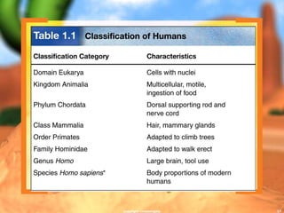 Classification of life | PPT