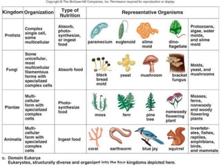 Classification of life | PPTX