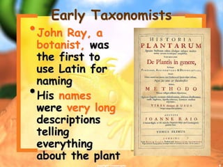 Classification of life | PPTX