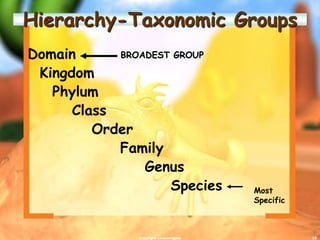 classification_of_life.ppt