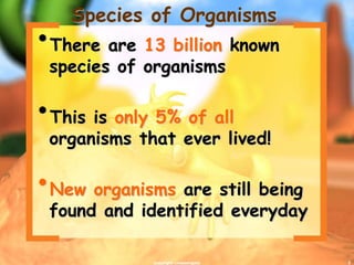 classification_of_life.ppt