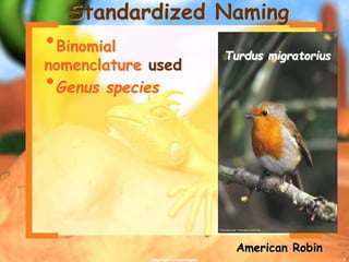 classification_of_life.ppt
