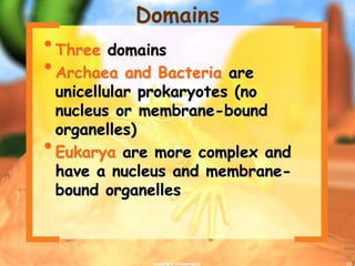 classification_of_life.ppt