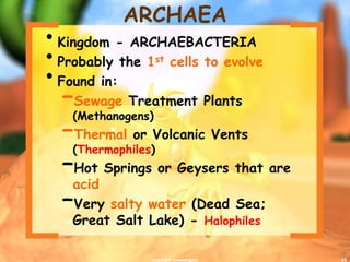 classification_of_life.ppt