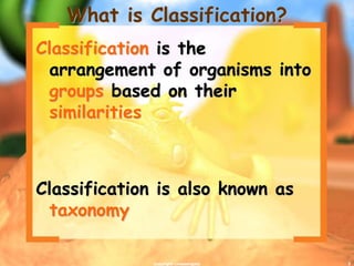 classification_of_life.ppt