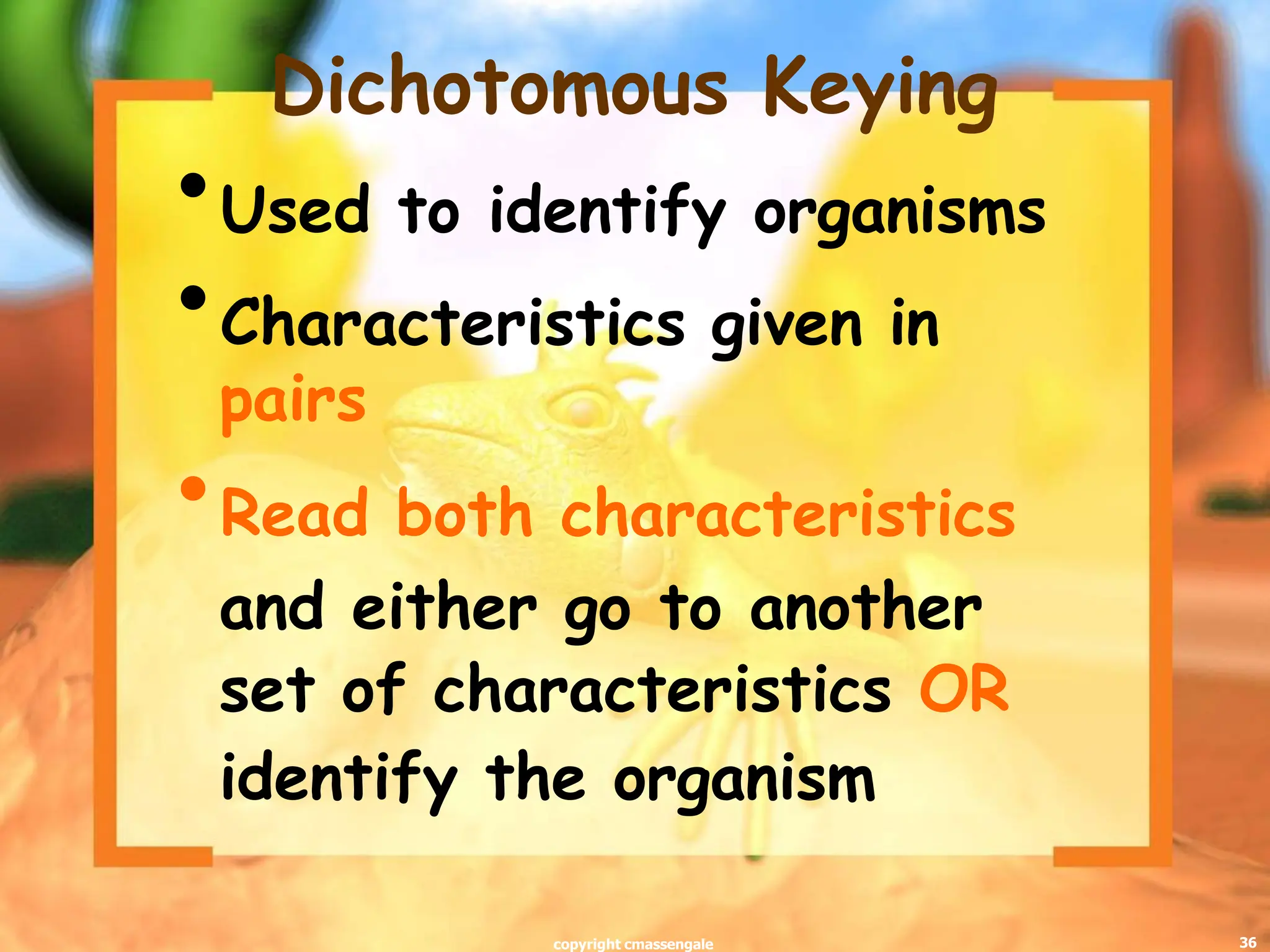 classificationoflife-taxonomy-110708114724-phpapp01.pptx