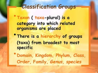classificationoflife-taxonomy-110708114724-phpapp01.pptx