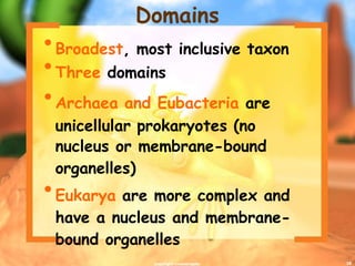 classificationoflife-taxonomy-110708114724-phpapp01.pptx