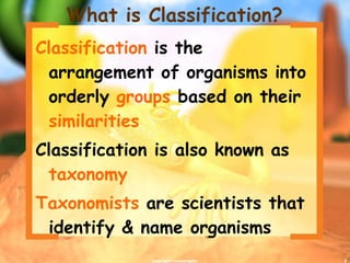 classificationoflife-taxonomy-110708114724-phpapp01.pptx