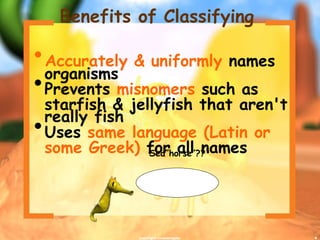 classificationoflife-taxonomy-110708114724-phpapp01.pptx