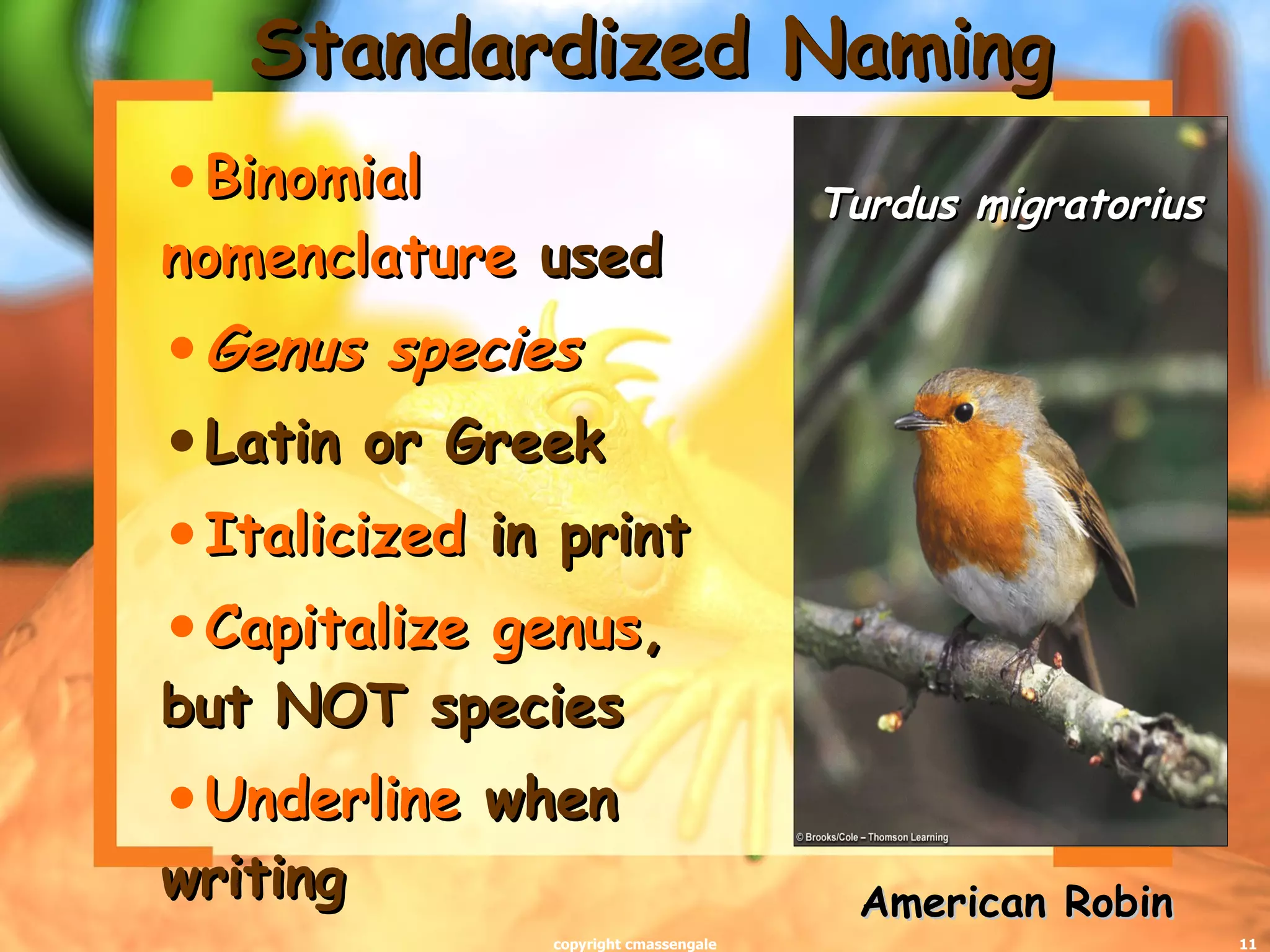 Classification Of Life Taxonomy Ppt