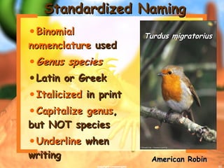 Classification of life taxonomy | PPT