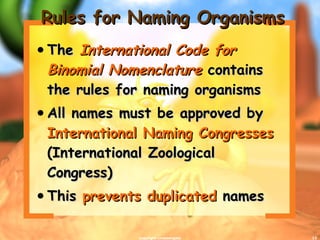 Classification of life taxonomy | PPT