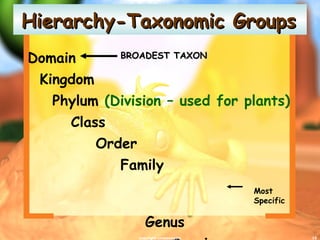 Classification of life taxonomy | PPT