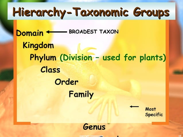Classification of life taxonomy | PPT | Biological Sciences | Science