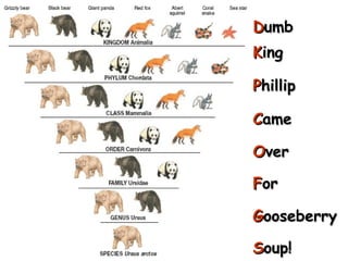 Classification of life taxonomy | PPT