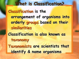 Classification of life taxonomy | PPT