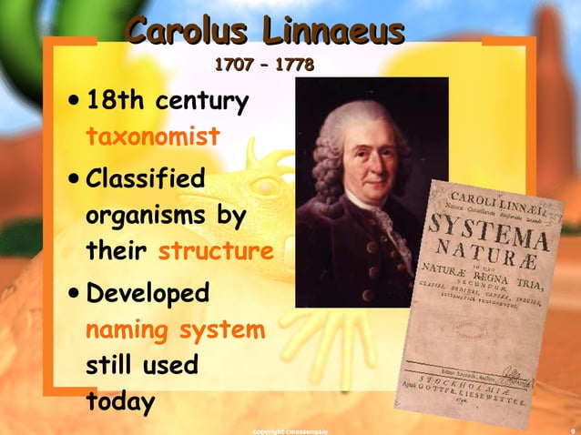 Classification of life taxonomy | PPT | Biological Sciences | Science