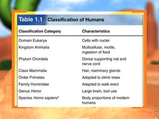Taxonomy Classification For Humans