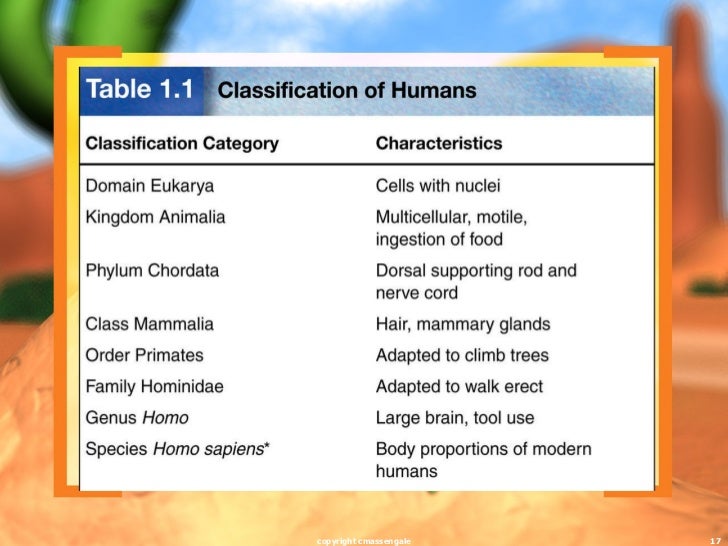 Taxonomy Classification For Humans
