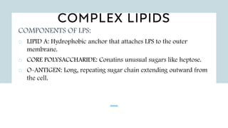 classification of lipids. simple lipids, complex lipids and derived ...